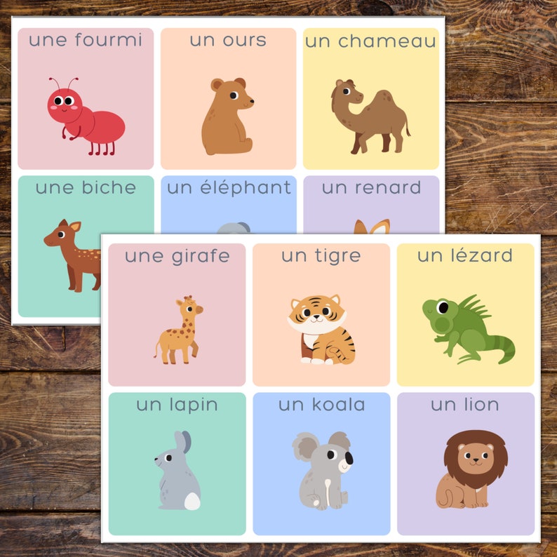 Printable Animal Flash Cards Homeschool Posters Classroom Decor Digital ...