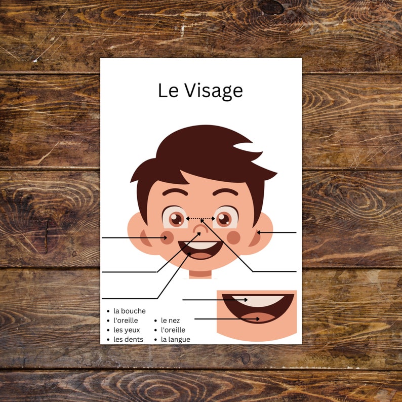 Parts of the Body Poster & Flashcard BUNDLE Homeschool Posters ...