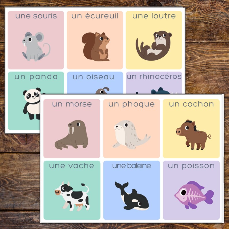 Printable Animal Flash Cards Homeschool Posters Classroom Decor Digital ...