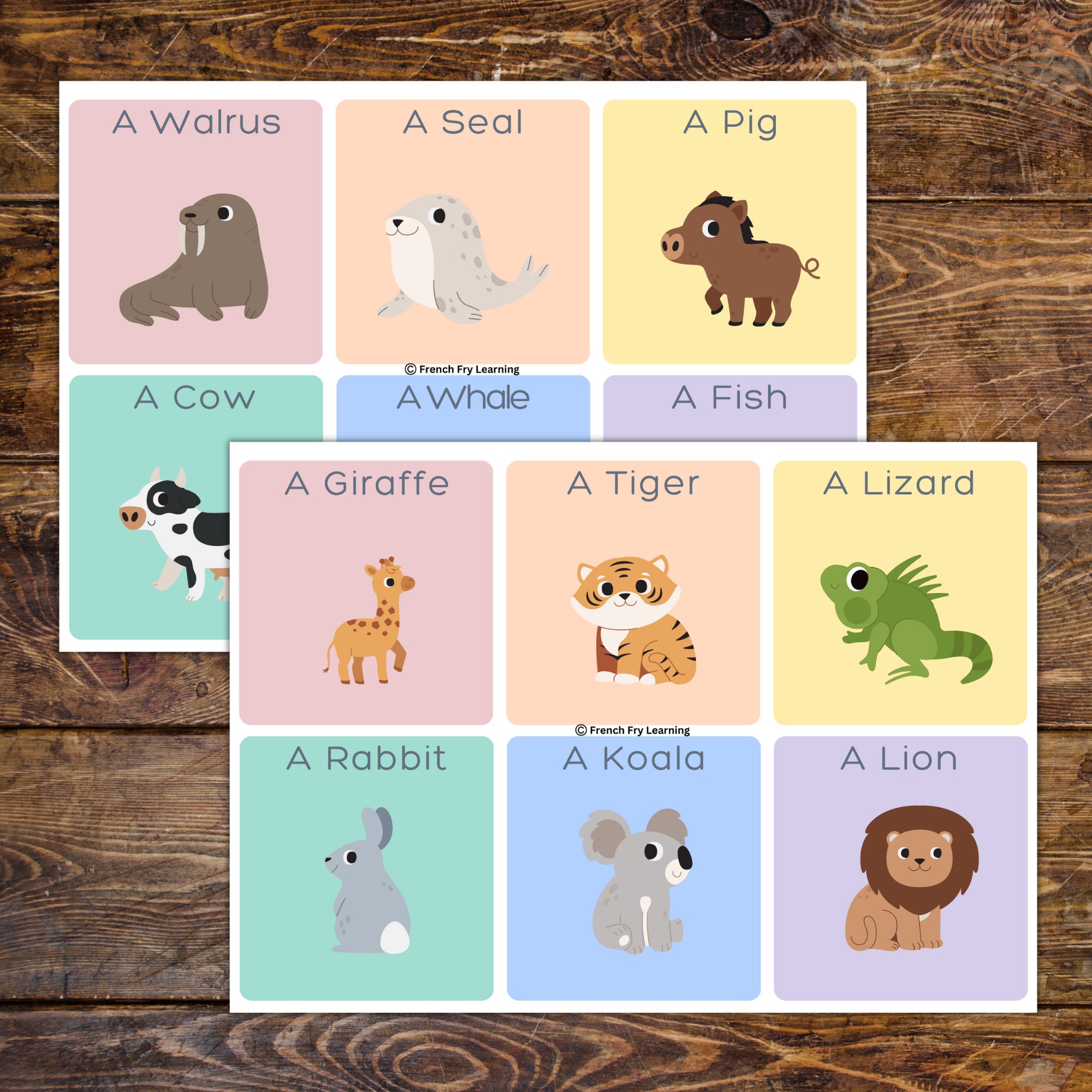 English Printable Animal Flash Cards Homeschool Posters Classroom Decor ...