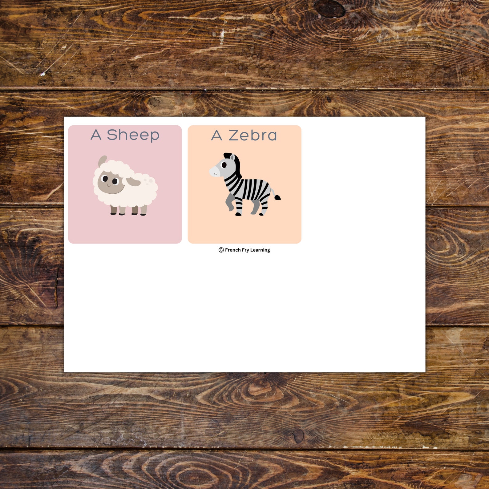 English Printable Animal Flash Cards Homeschool Posters Classroom Decor ...