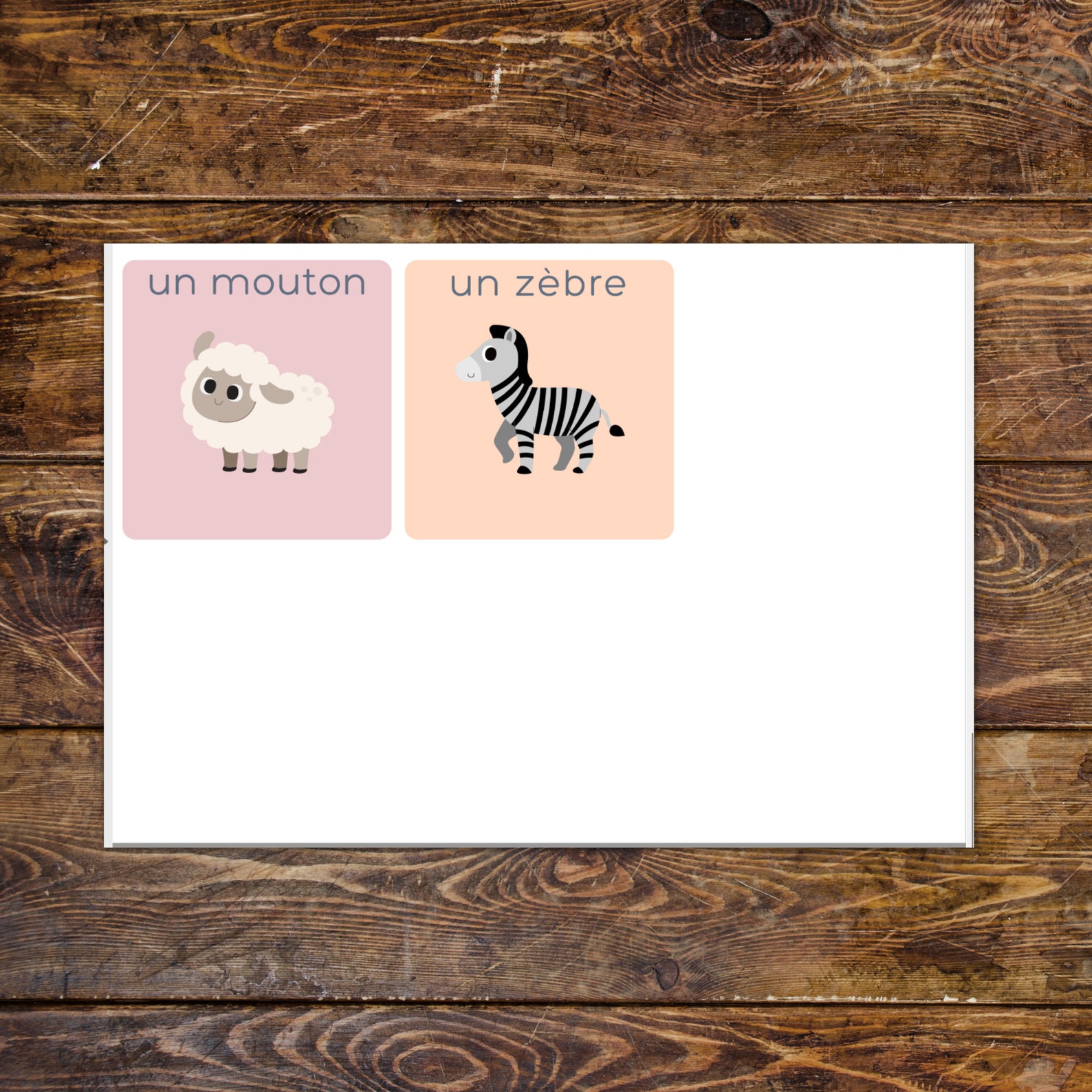Printable Animal Flash Cards Homeschool Posters Classroom Decor Digital ...