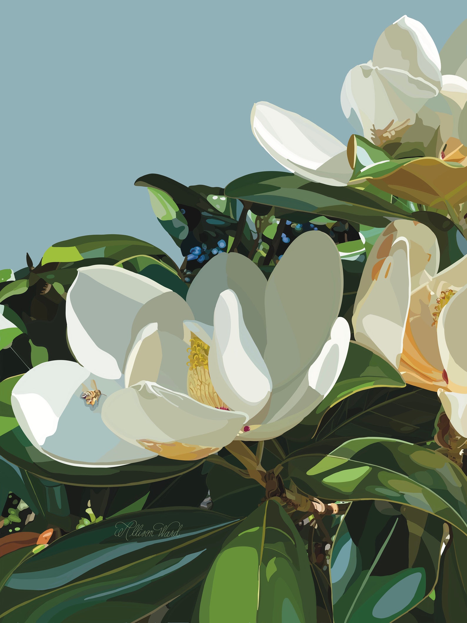 Magnolia With Bee Print | Magnolia Poster | Magnolia Fine Art ...