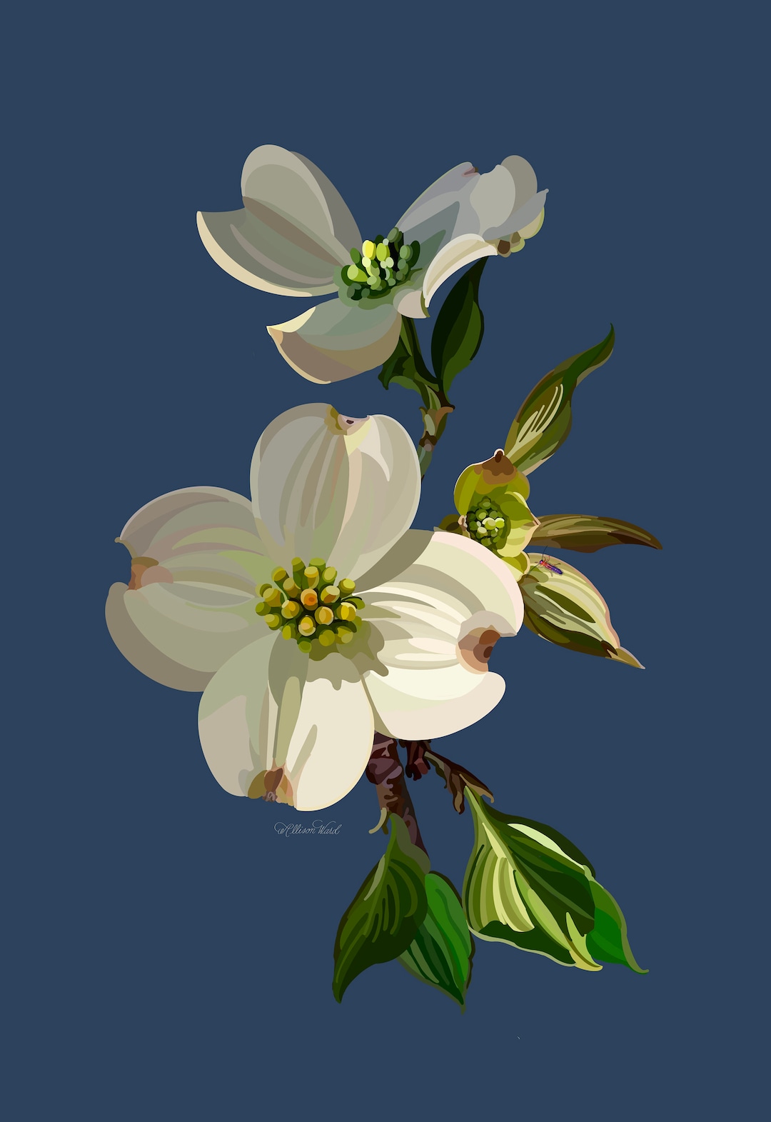 Southern Dogwood Print | Dogwood Flower Painting | Dogwood Artwork ...