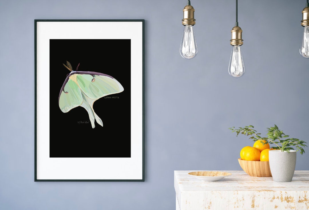 Luna Moth Print Moth Artwork Luna Moth Wall Decor - Etsy
