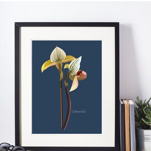 Lady Slipper Painting | Lady Slipper Artwork | Botanical Print - Etsy