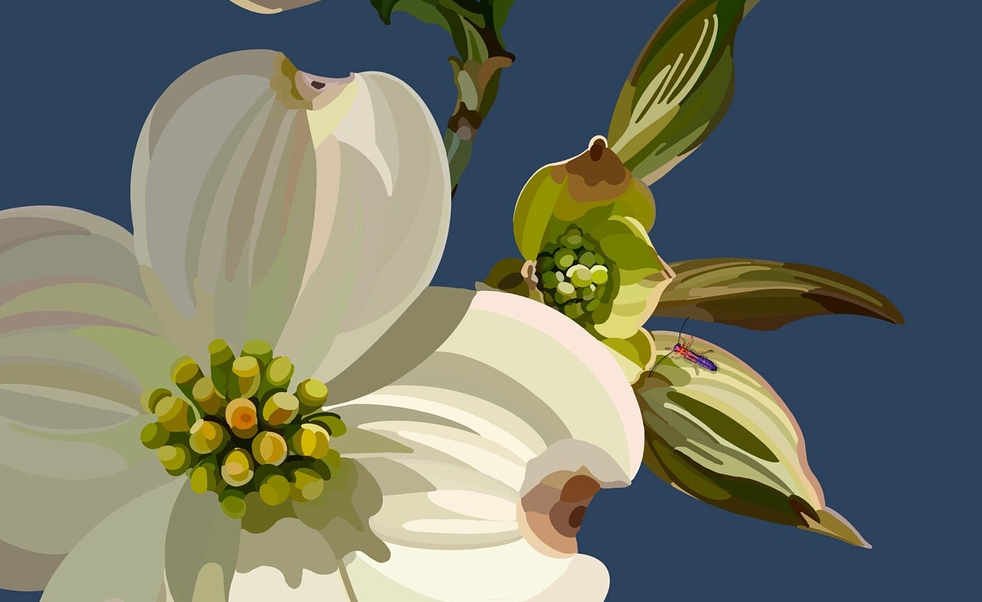 Southern Dogwood Print Dogwood Flower Painting Dogwood Artwork Dogwood ...