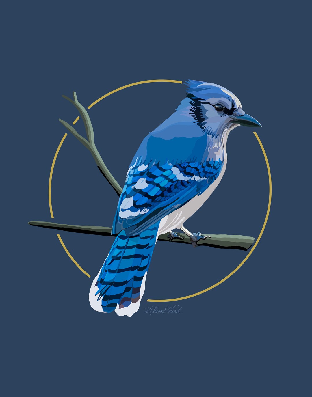 Bluejay in Summer | Bluejay Print | Bluejay Fine Art | Bluejay Wall ...