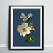 Southern Dogwood Print Dogwood Flower Painting Dogwood Artwork Dogwood ...