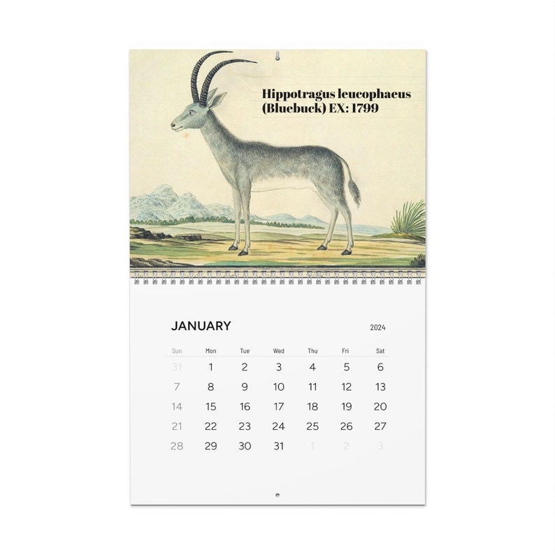 Wall Calendars 2024 Charles Darwin and Other Extinct Animal ...