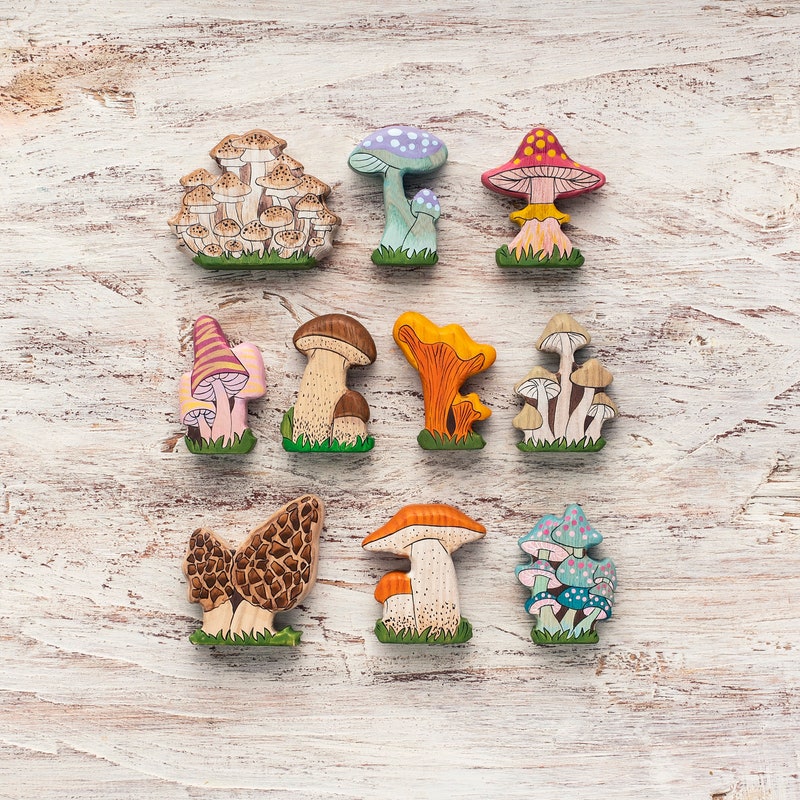Mushroom Set - Etsy