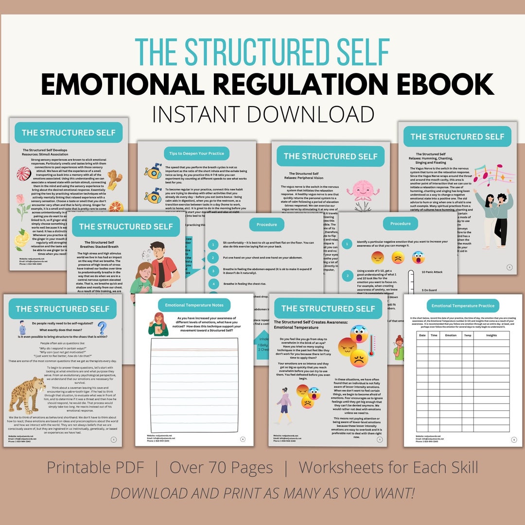 The Structured Self - Full Skills Workbook Digital Download - Etsy