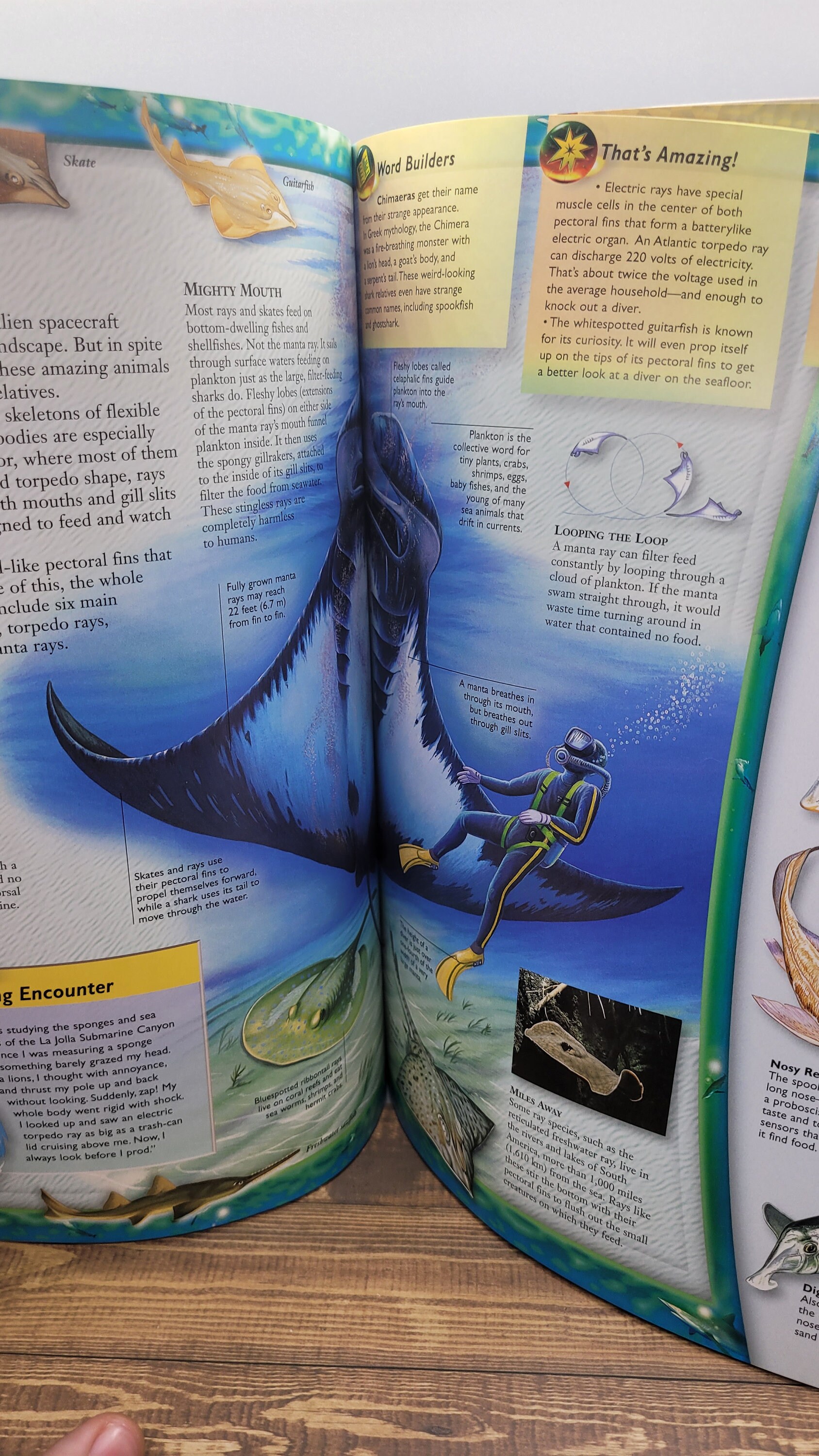 Readers Digest Pathfinders Educational Books - Etsy