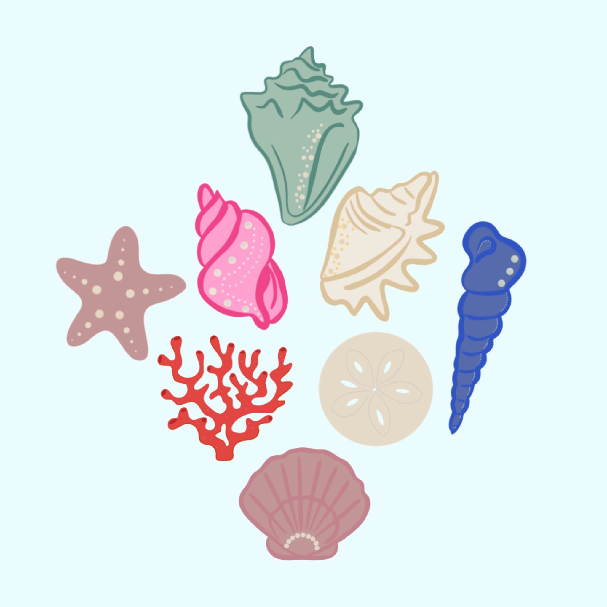 Seashell Stickers / Decals - Etsy