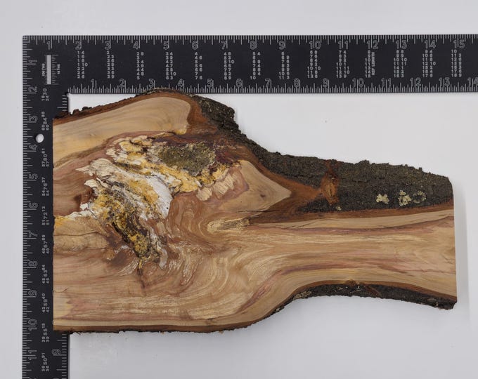 Plum Wood With Live Edge - Etsy