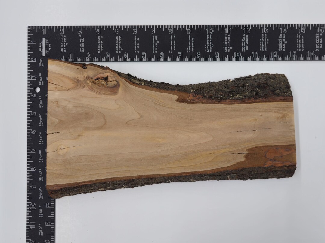 Plum Wood With Live Edge - Etsy
