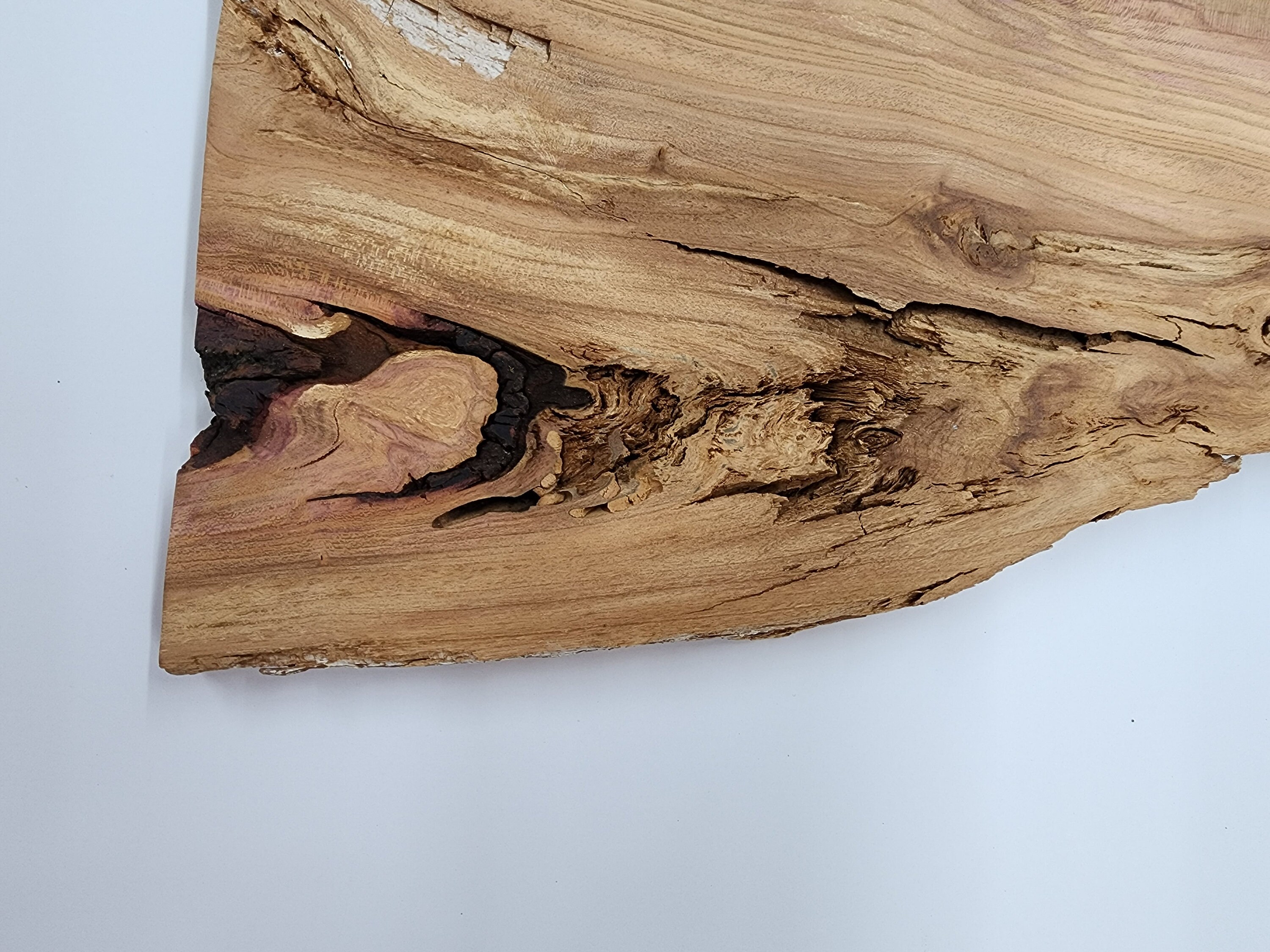 Plum Wood With Live Edge and Crotch Figure - Etsy