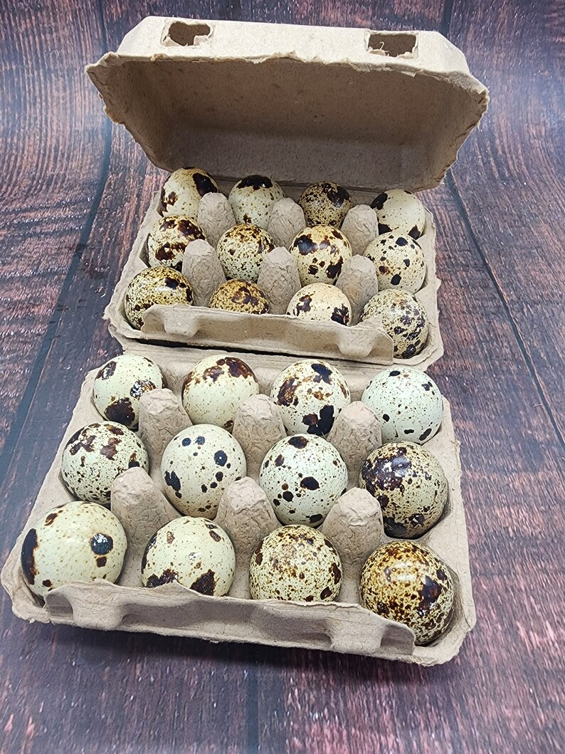 8 DOZEN QUAIL EGGS - Etsy