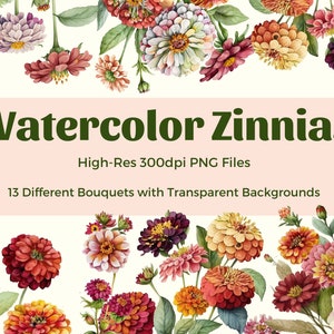 Zinnia Floral Clipart - Watercolor Zinnia Flowers - Floral Clipart ...