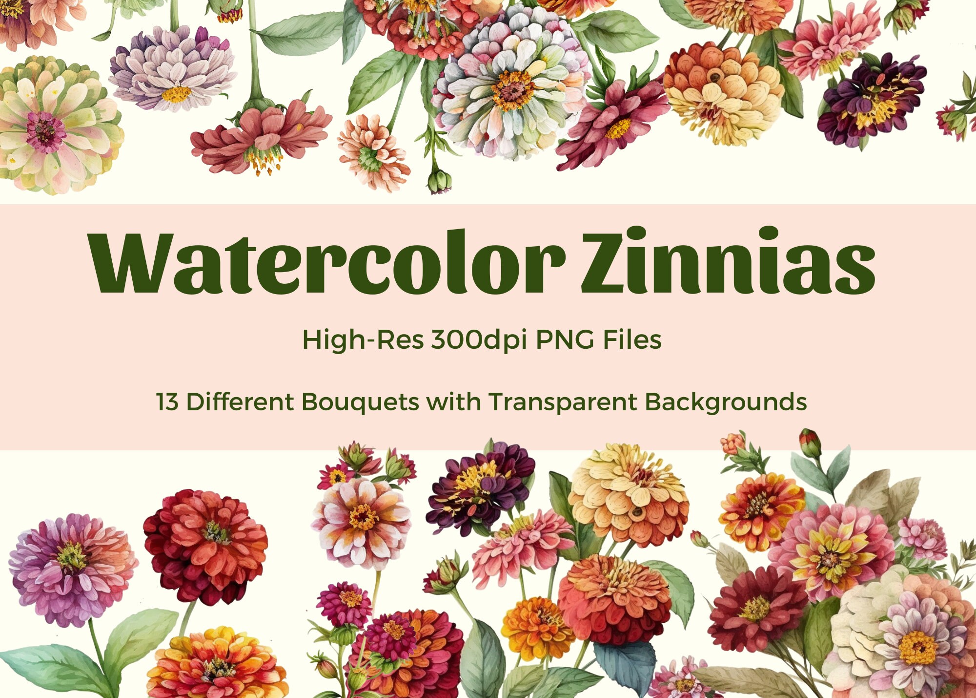 Zinnia Floral Clipart - Watercolor Zinnia Flowers - Floral Clipart ...