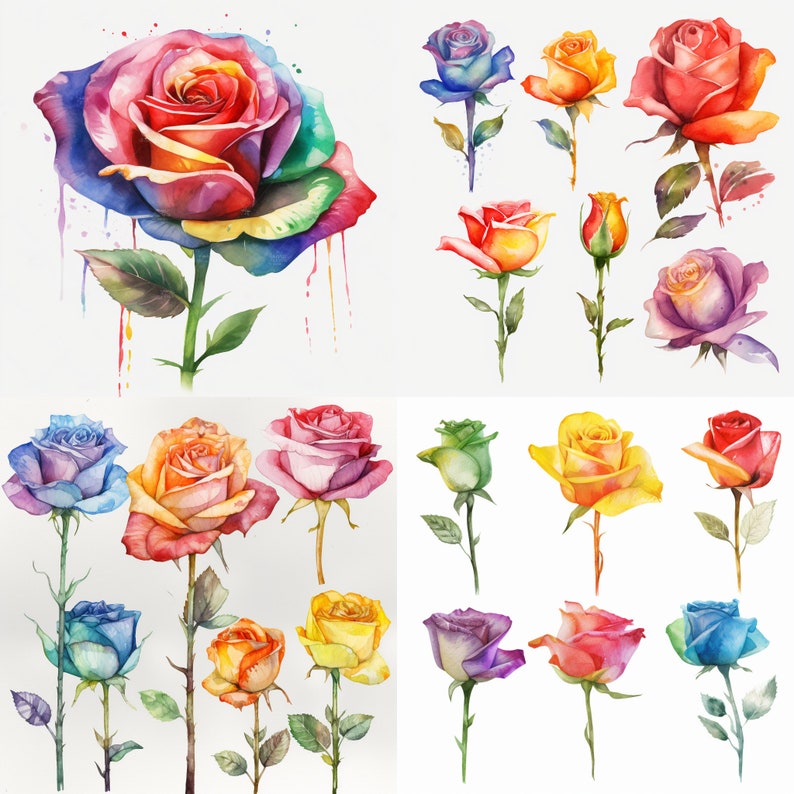 Watercolor Rainbow Roses Clipart Spring Rainbow Roses Digital Clipart ...