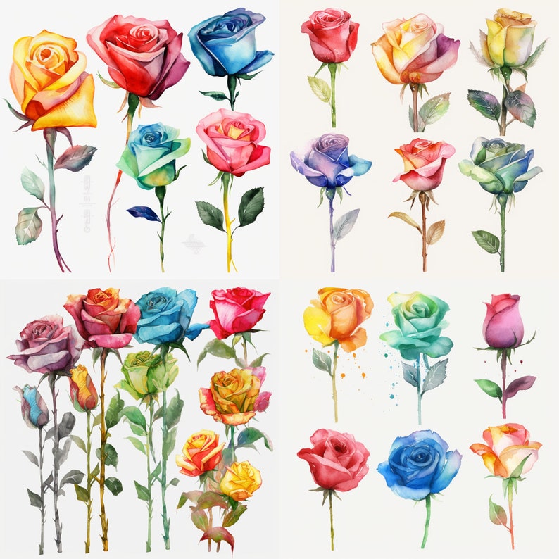 Watercolor Rainbow Roses Clipart Spring Rainbow Roses Digital Clipart ...