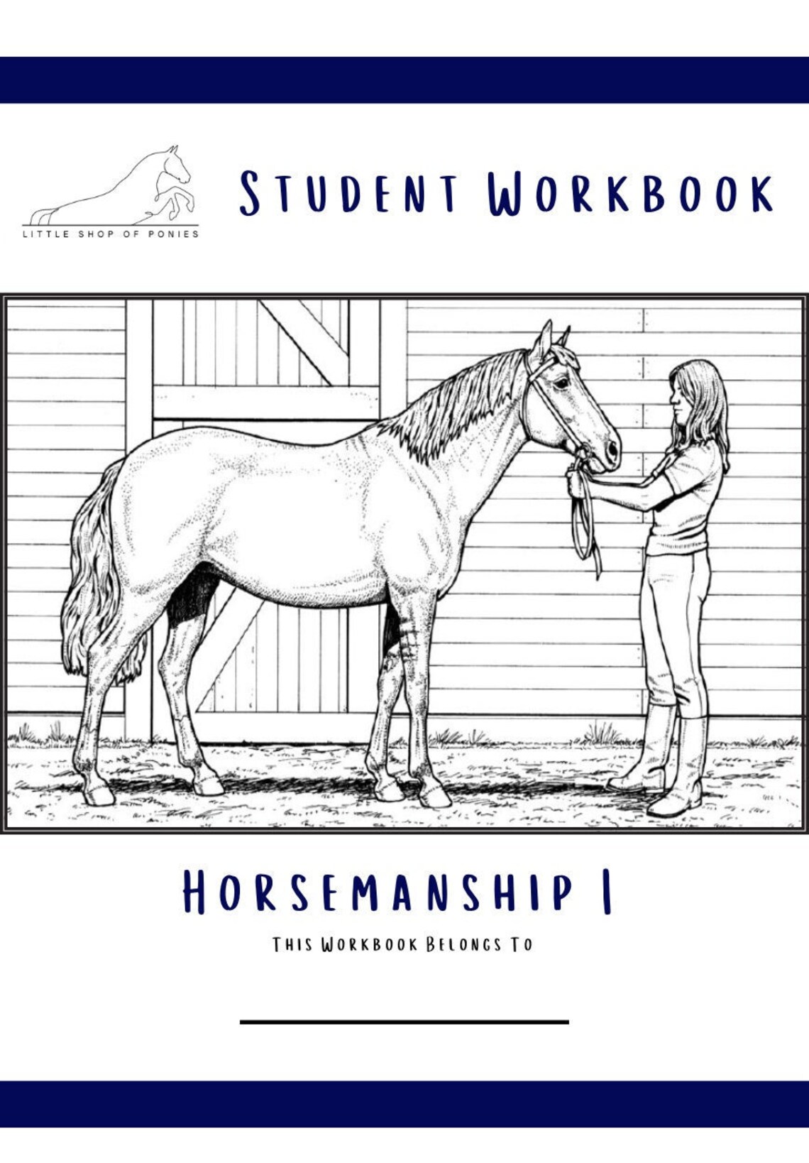 Beginner Rider's Horsemanship Workbook for Digital Download, Horse ...