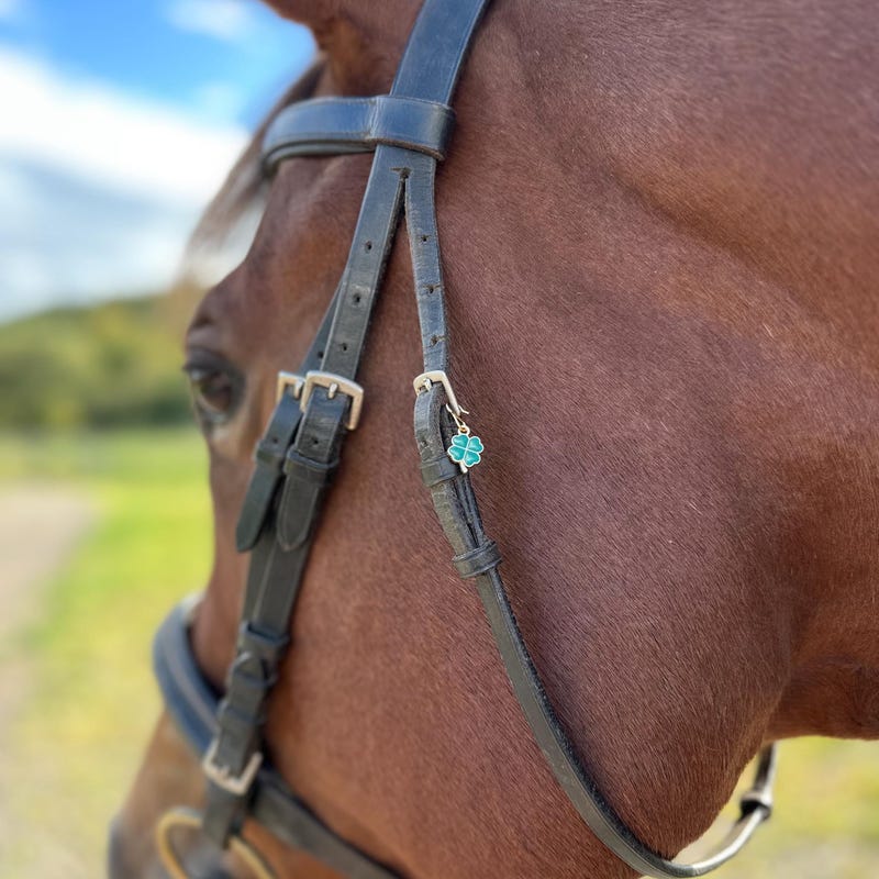 Bridle Charm for Horses - Etsy