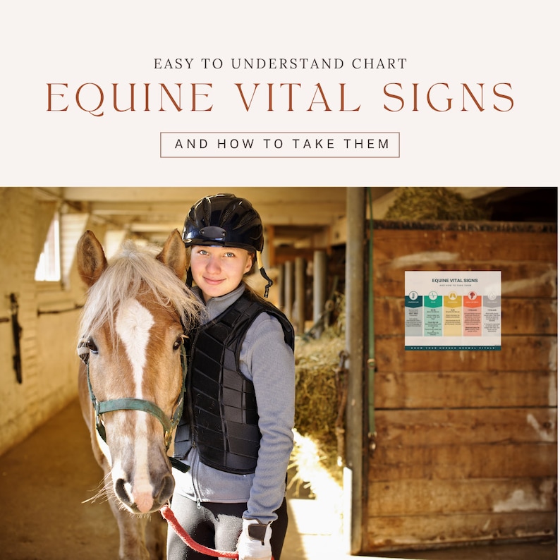 Simple Modern Equine Vitals Chart for Digital Download for Print or ...