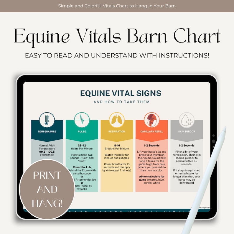 Simple Modern Equine Vitals Chart for Digital Download for Print or ...