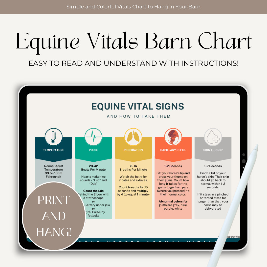 Simple Modern Equine Vitals Chart for Digital Download for Print or ...