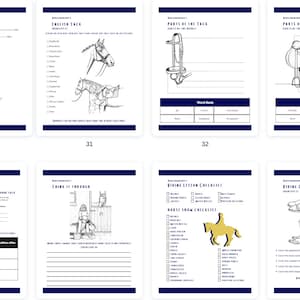 Beginner Rider's Horsemanship Workbook for Digital Download, Horse ...