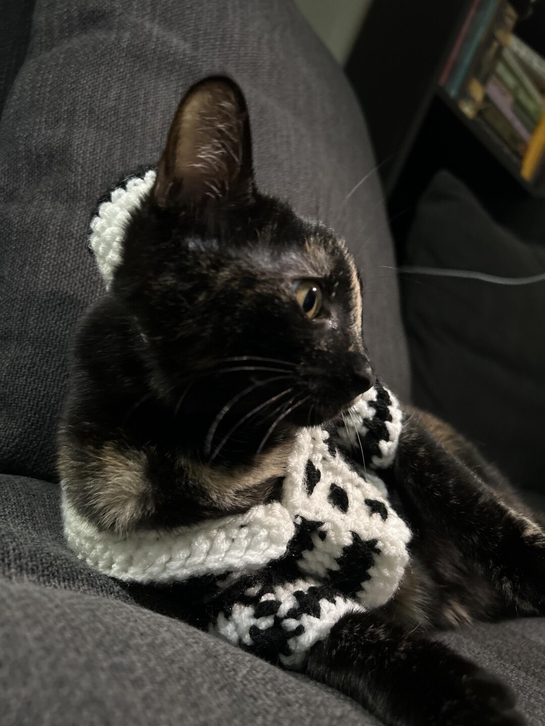 Cat Prison Outfit, Cat Outfit, Cat Halloween Costume, Kitty Jail Outfit ...