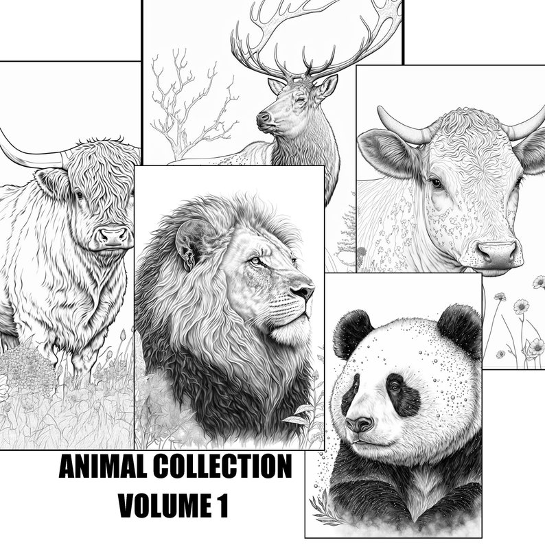 Animal Coloring Pages - Volume 1 - Etsy