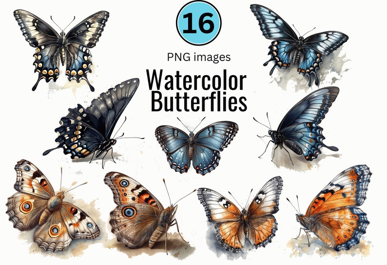 Watercolor Butterfly Clipart Set 16 PNG Files Various - Etsy