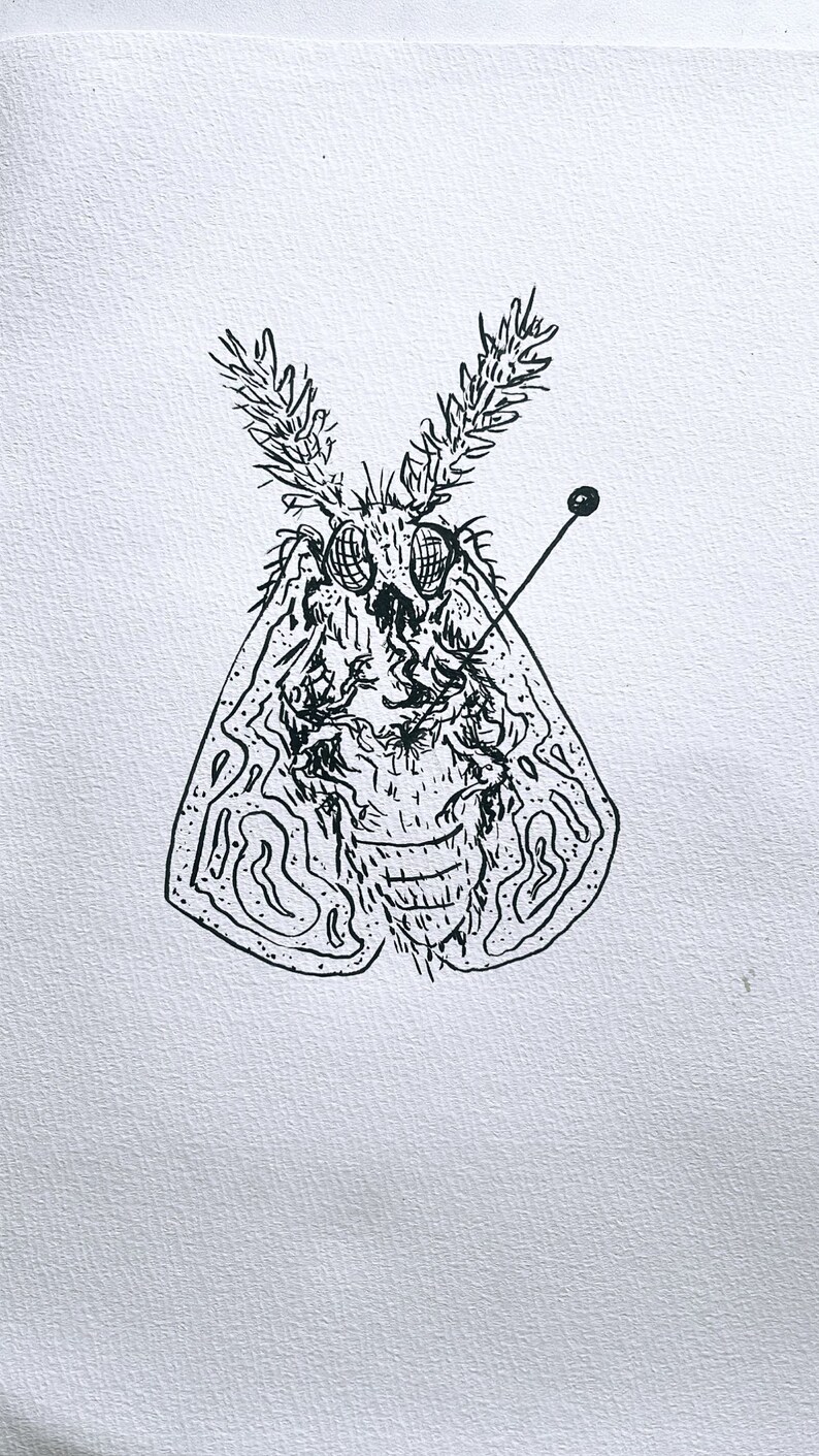 Original Line Art - Etsy