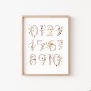 Set of 2 Wildflowers Alphabet Numbers Poster, Floral Alphabet Print ...