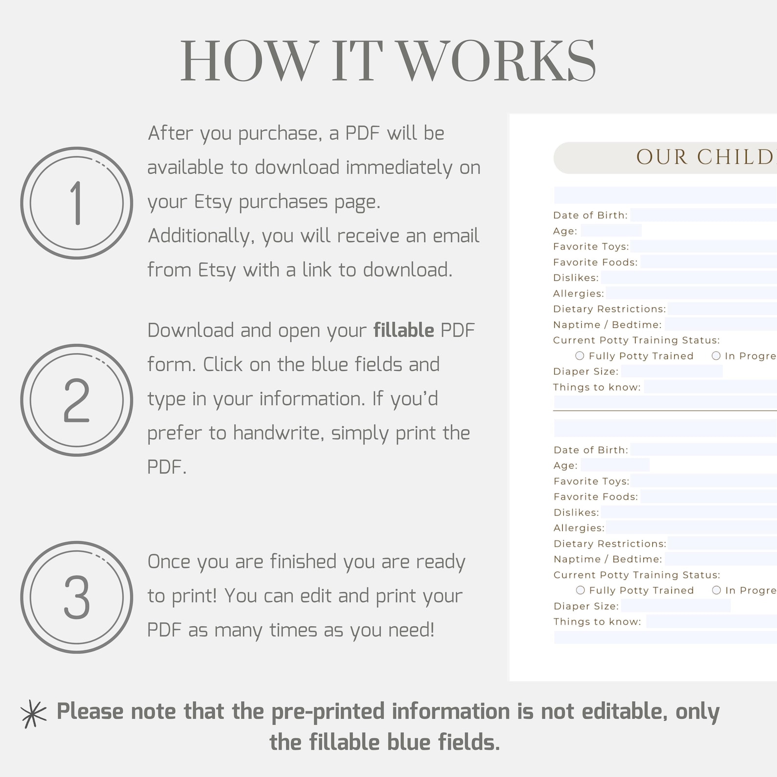 Fillable Nanny Binder PDF, Printable Nanny Planner Template, Nanny ...