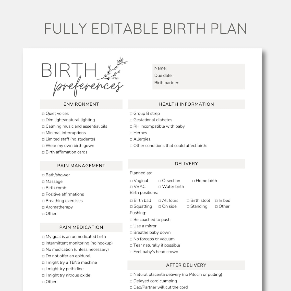 Birth Plan Template, Birth Plan Printable, Editable Birth Preferences ...