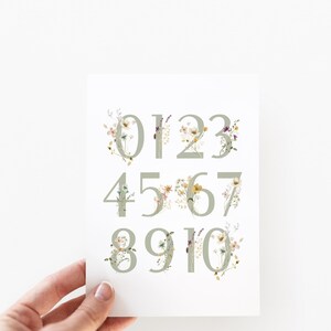 Set of 2 Floral Alphabet Numbers Poster, Wildflower Alphabet Poster ...
