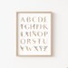 Wildflower Alphabet Poster, Floral Alphabet Print, Printable ...