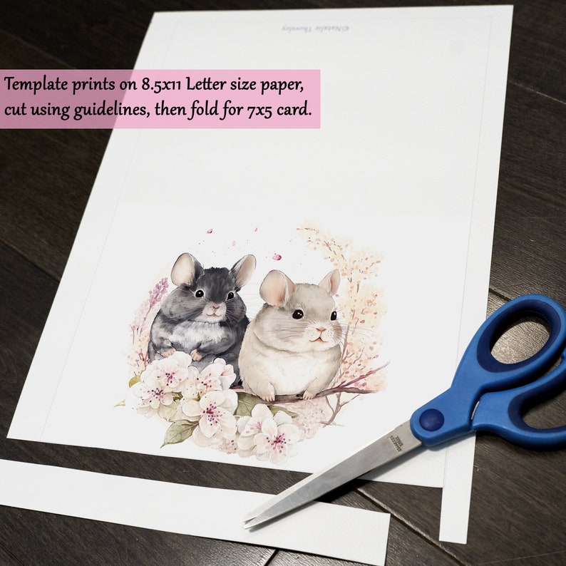 Chinchillas in Circle of Cherry Blossom Flowers, Watercolor Style ...