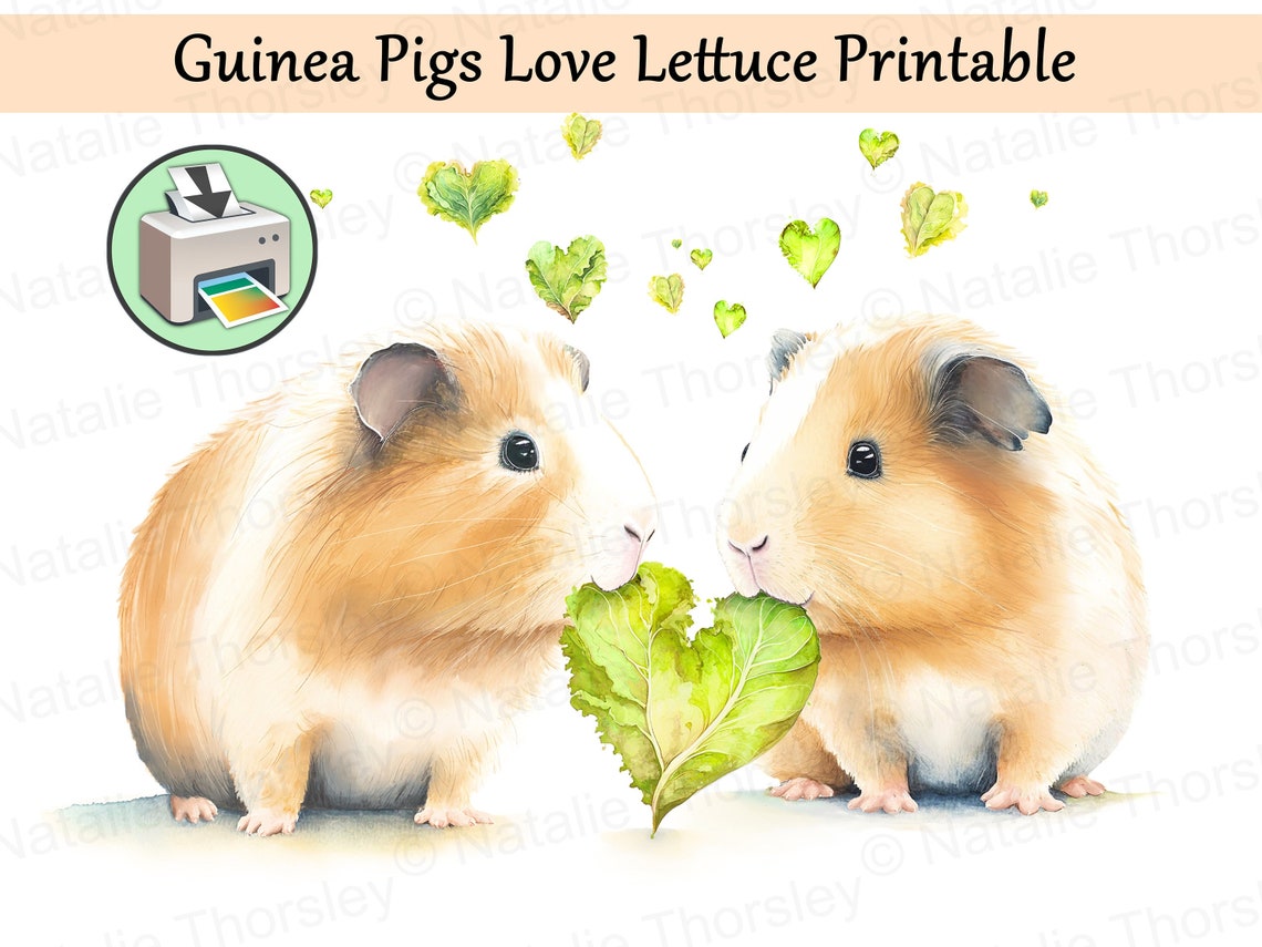 Guinea Pig Love Eating Lettuce, Watercolor Style Art Painting ...