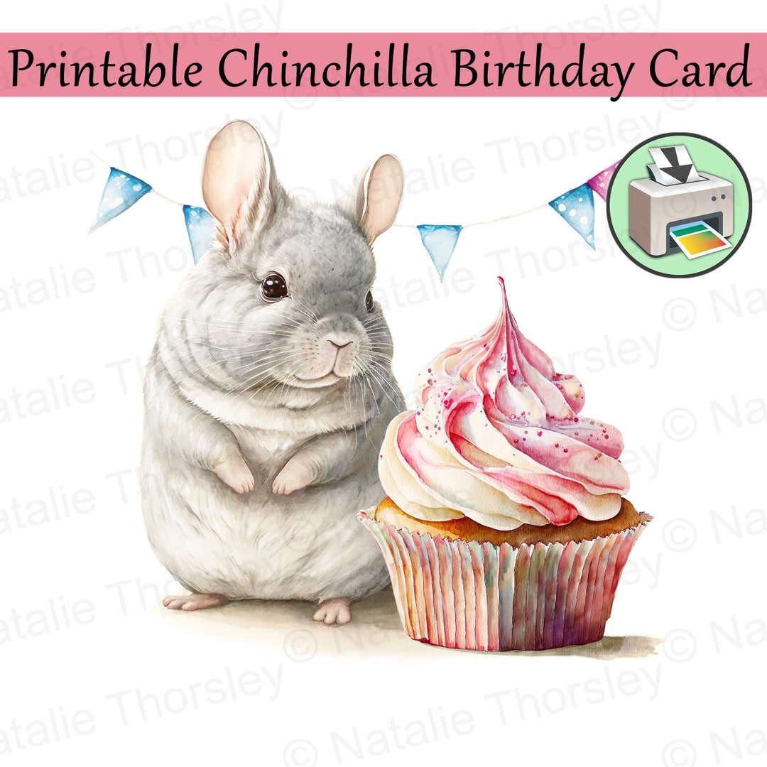 Chinchilla Birthday Card With Cupcake, Printable Digital Watercolor Art ...