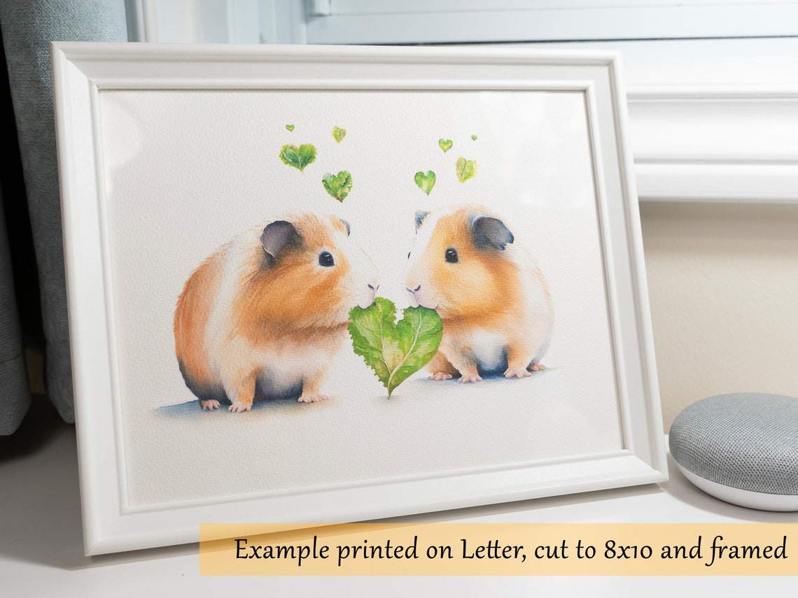 Guinea Pig Love Eating Lettuce, Watercolor Style Art Painting ...