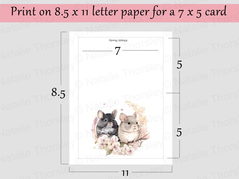 Chinchillas in Circle of Cherry Blossom Flowers, Watercolor Style ...
