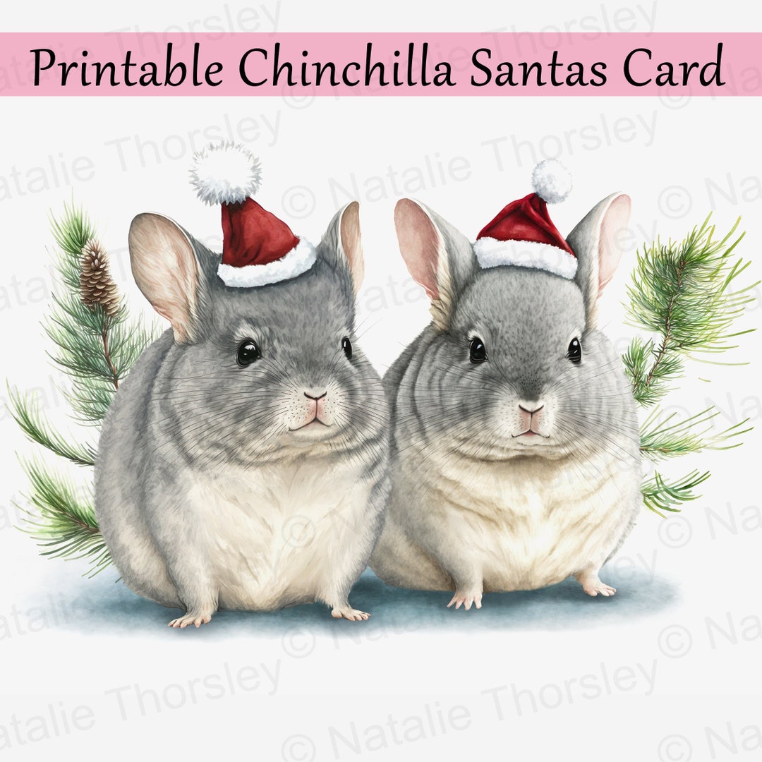 Chinchilla Christmas Card, Printable Watercolor Style Painting, Digital ...