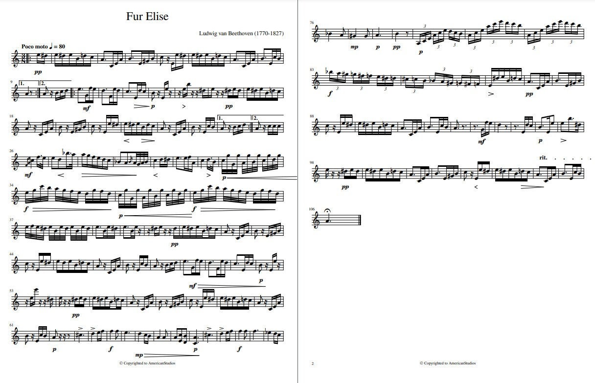 Beethoven Fur Elise Violin