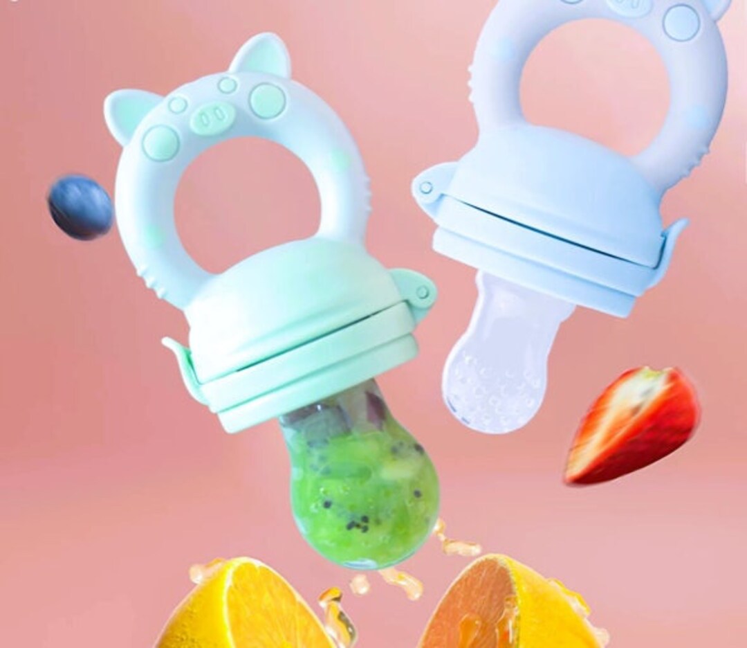 Fruit Pacifier Food Feeder - Silicone Baby Teether - Infants and Babies ...