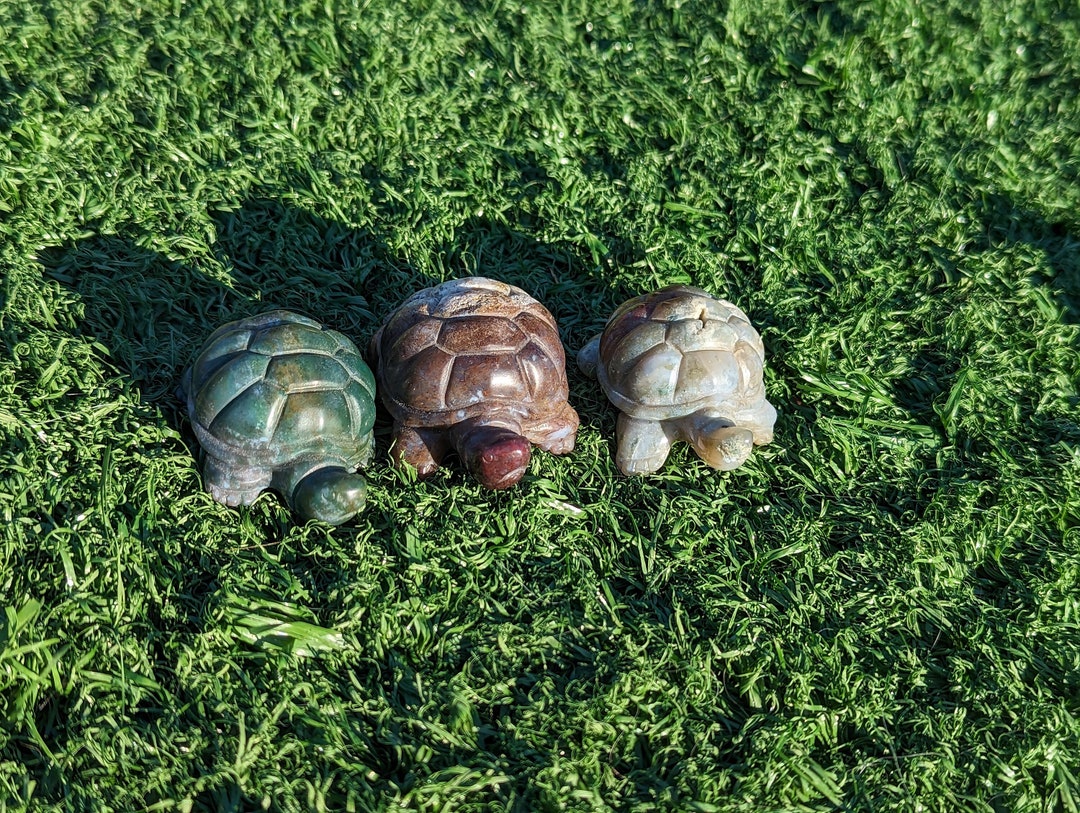 Crystal Tortise, Ocean Jasper Turtle or Box Turtle, or Tortise. Super ...